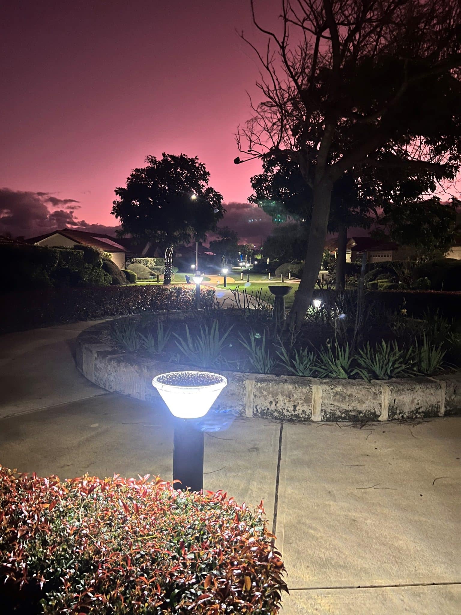 Commercial & Industrial - Moma Solar