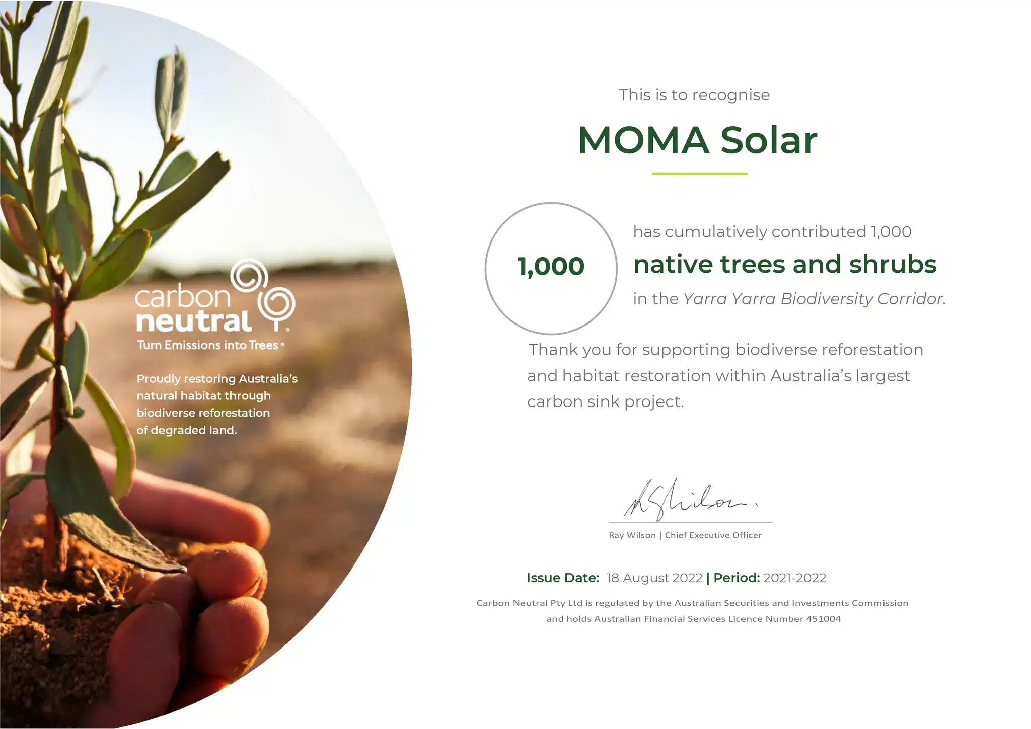 MOMA Solar Plants 1,000 trees with Carbon Neutral - Moma Solar